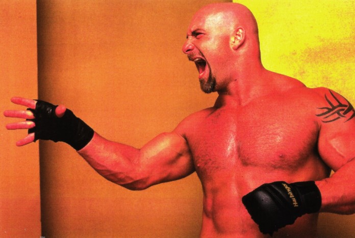 Full Set Scans: #1 - 108 Panini WCW/nWo Superstars Photocards [1998 ...