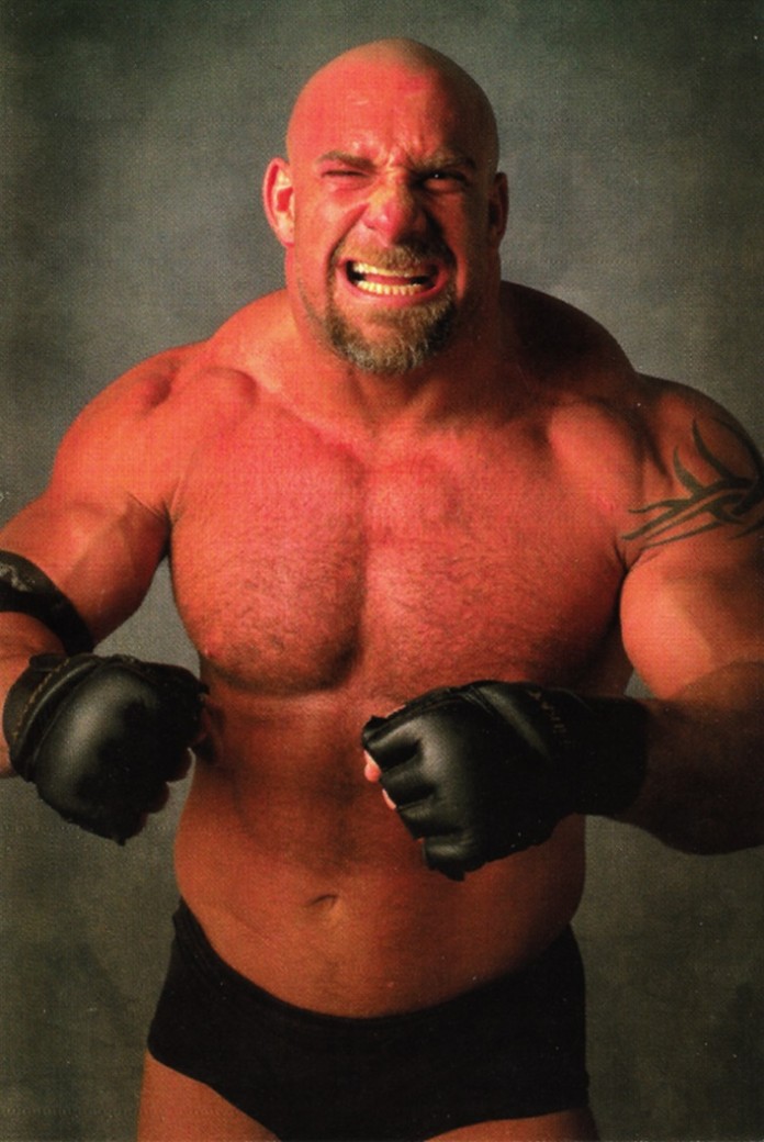 Full Set Scans: #1 - 108 Panini WCW/nWo Superstars Photocards [1998 ...